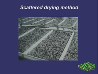 Culture of Monostroma | PPT