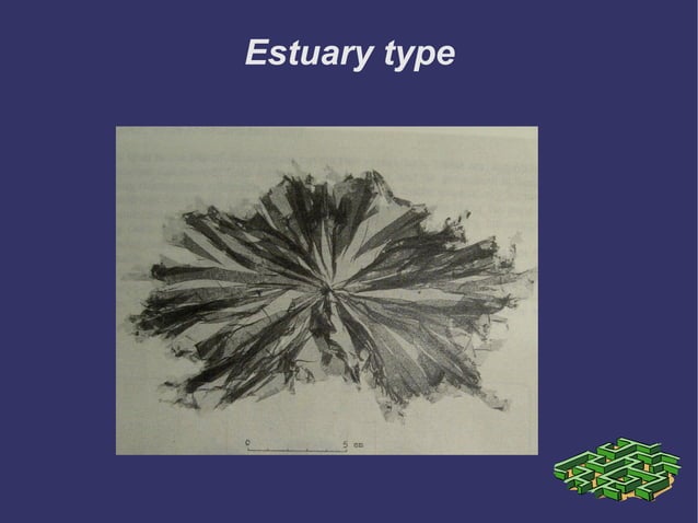 Culture of Monostroma | PPT