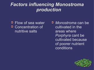 Culture of Monostroma | PPT