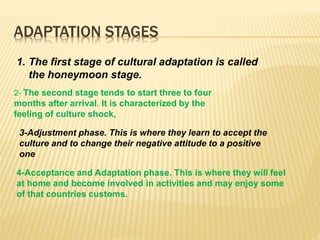 cross-Culture adaptation theory | PPTX