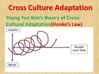 cross-Culture adaptation theory | PPTX