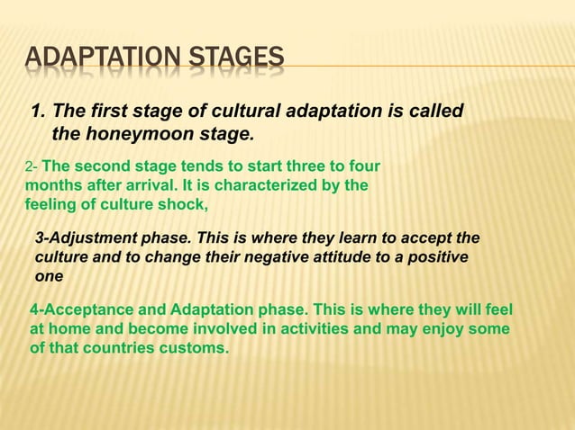 Cross Culture Adaptation Theory