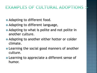 Culture adoptATION | PPTX