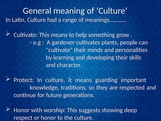 Culture & Anarchy PPT By Zeeshan Ali.pptx
