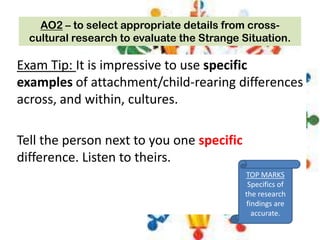 Culture and attachment | PPTX