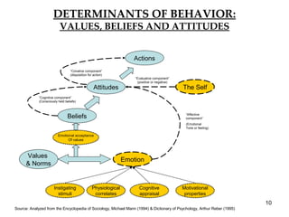 Culture and behavior | PDF