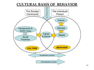 Culture and behavior | PDF