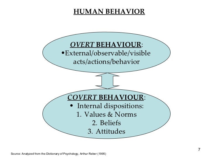 Culture and behavior