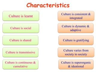 Culture and civilisation | PPTX