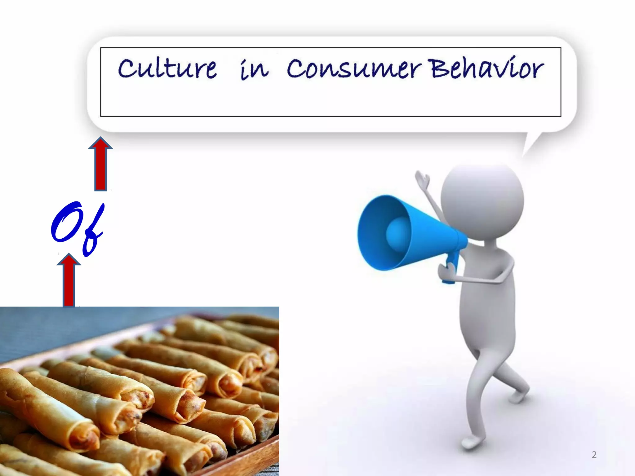 Culture and consumer behaviour | PPT