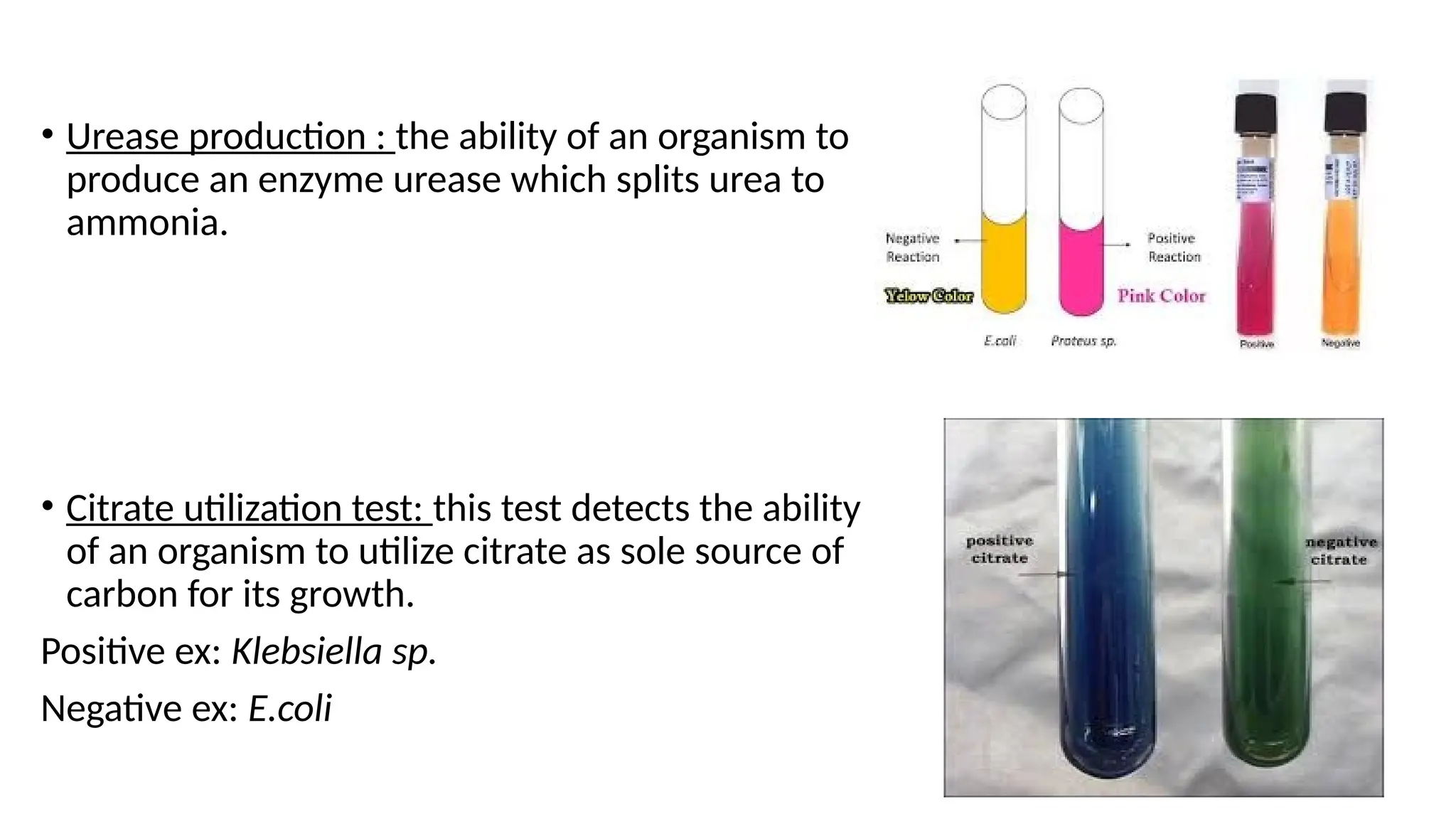 MmCulture and Isolation of Microbes.pptx