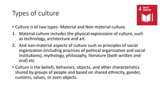 Culture and its characteristics | PPTX