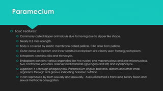 Culture and permanent slide of paramecium | PDF