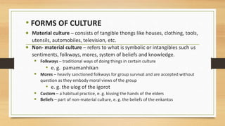 Culture and society | PPTX