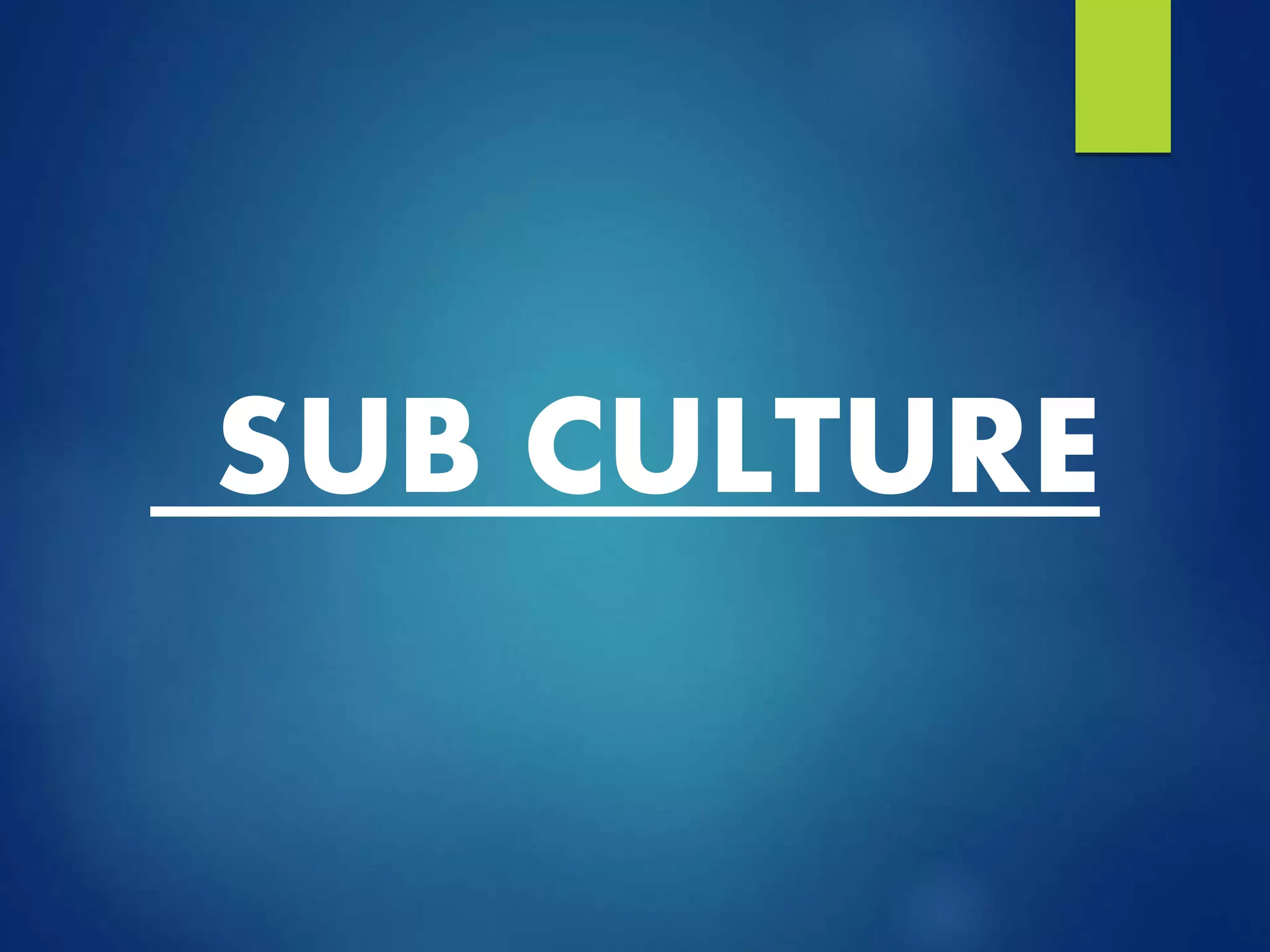 Culture And Subcultures In Marketing | PPTX | Religion & Spirituality