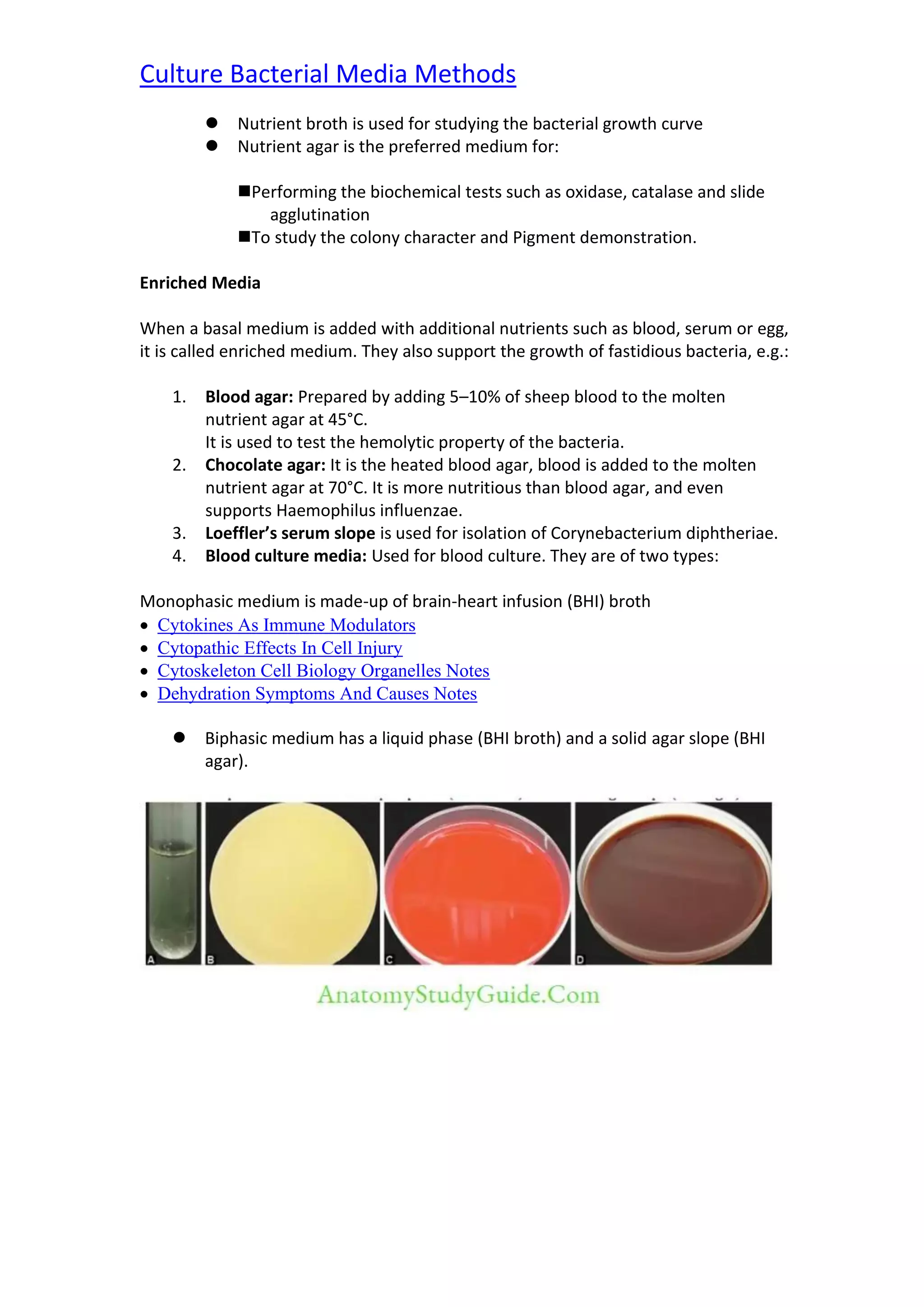 Culture Bacterial Media Methods by Conventional Automated | PDF