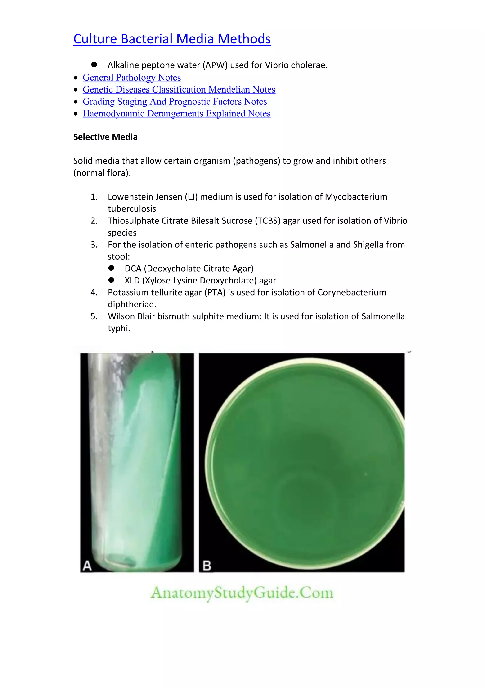 Culture Bacterial Media Methods by Conventional Automated | PDF