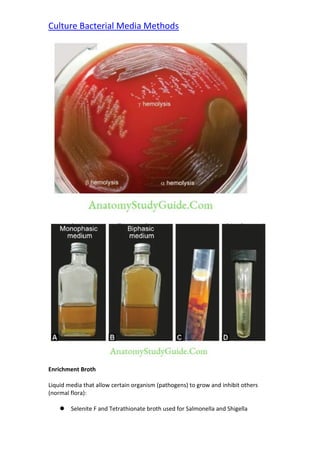 Culture Bacterial Media Methods by Conventional Automated | PDF