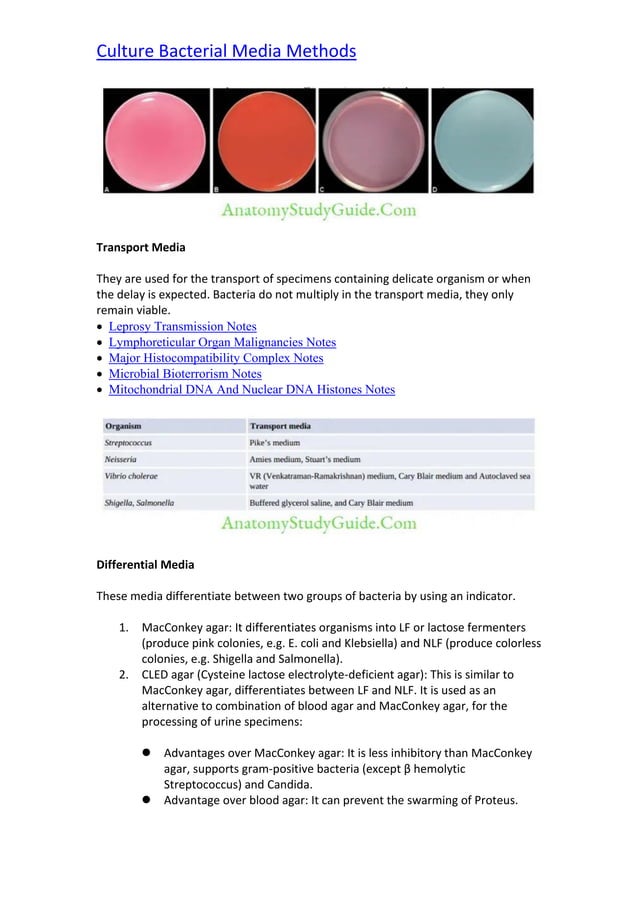 Culture Bacterial Media Methods by Conventional Automated | PDF ...