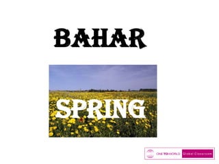 "Cultural Identity in Cyprus" - Bahar | PPTX