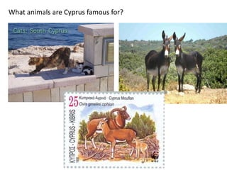 "Cultural Identity in Cyprus" - Bahar | PPT