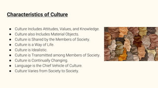 Culture: Definition, Functions, Characteristics, Elements of Culture.pptx