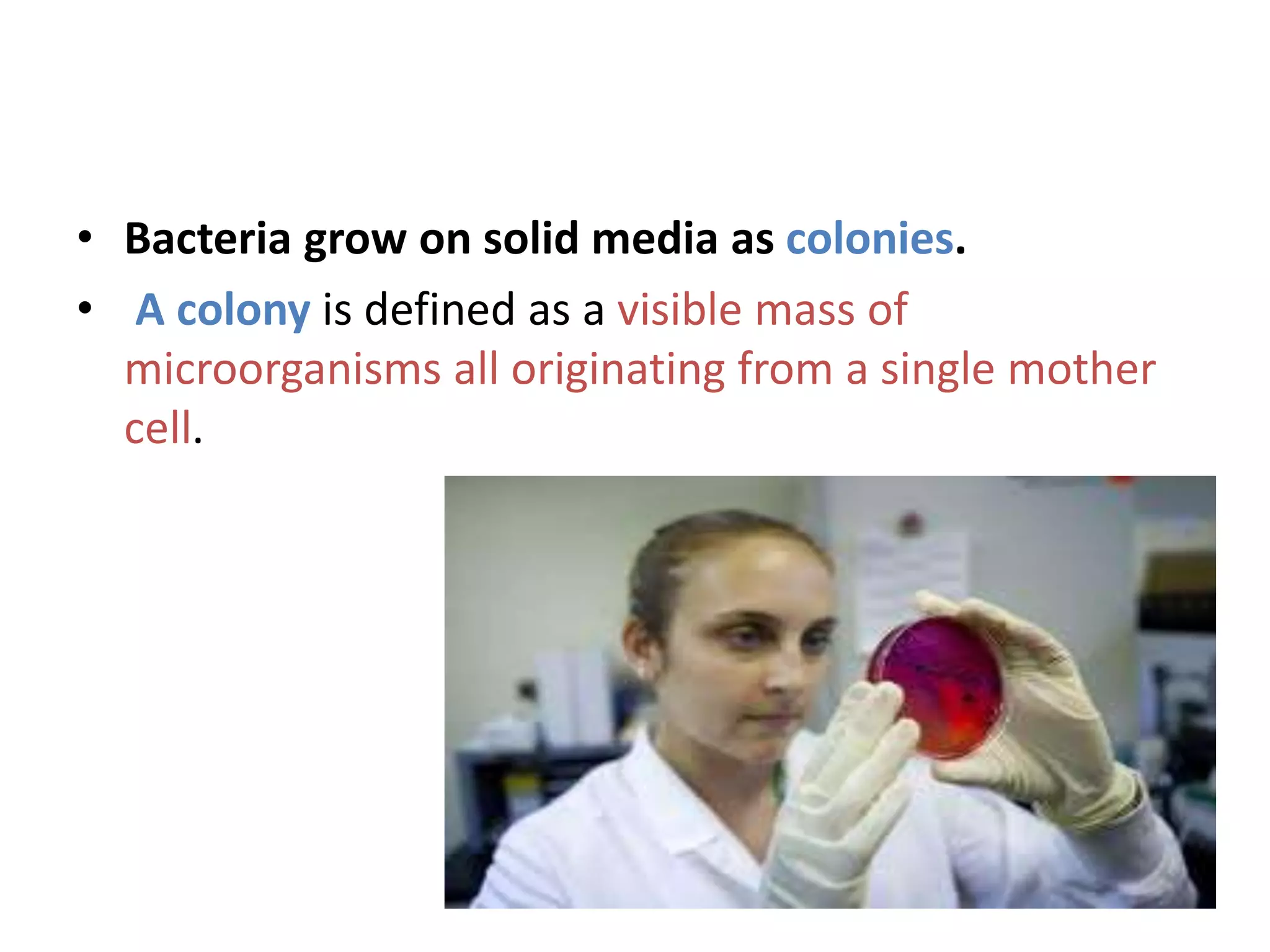 Culture characteristics of bacteria | PPTX