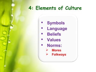 Culture & civilization | PPT