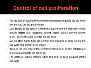 Cultured cells | PPTX