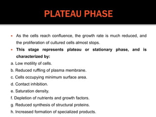 Cultured cells | PPTX