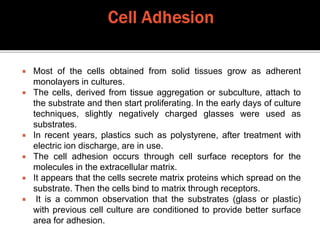 Cultured cells | PPT