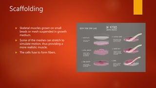Culturedmeat | PPTX