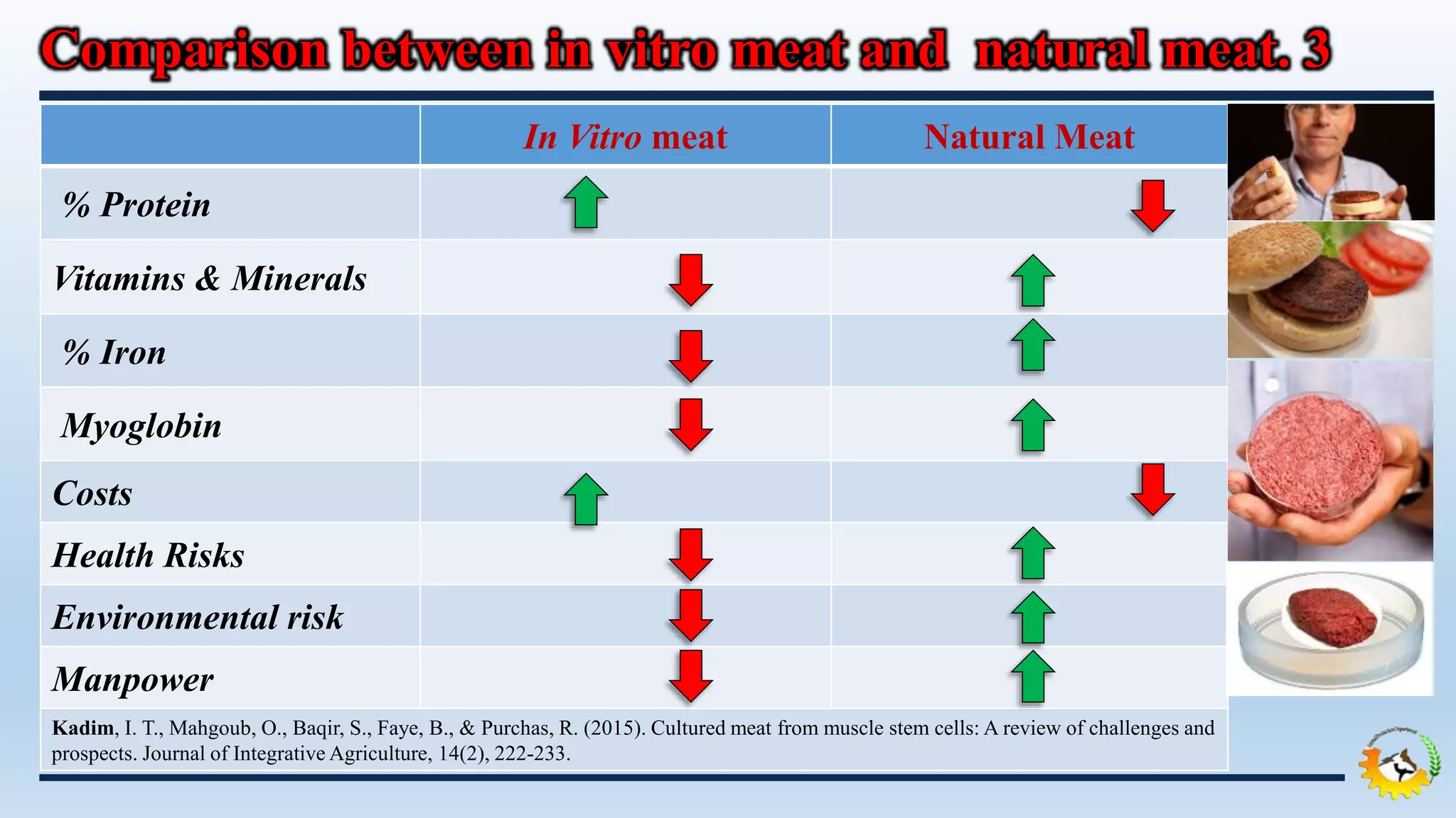 Cultured meat (in vitro meat) ppt | PPTX