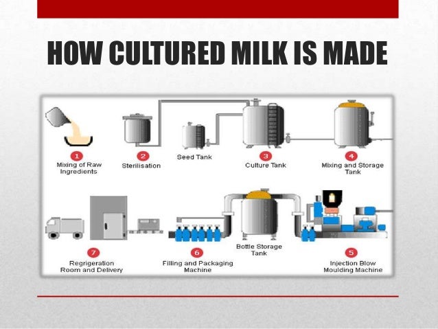 Cultured Milk