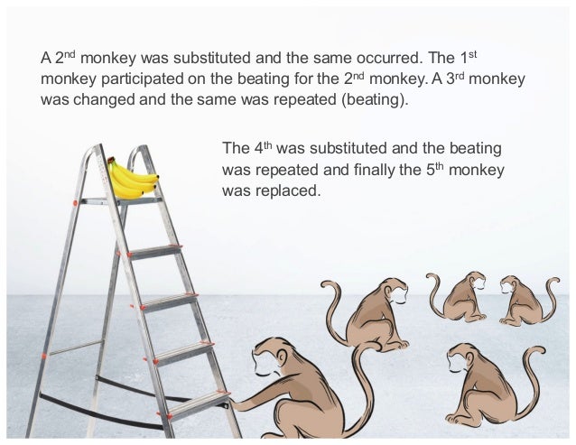 The Five Monkeys Experiment