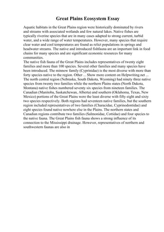 Culture Essay Example.pdf