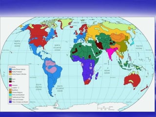 Culture & geography | PPT