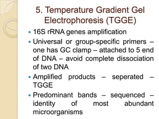 Culture independent methods for detection & enumeration of gut ...