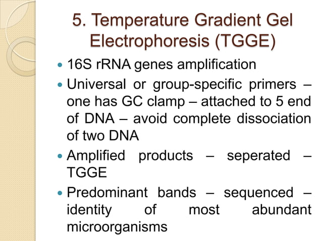 Culture Independent Methods For Detection And Enumeration Of Gut