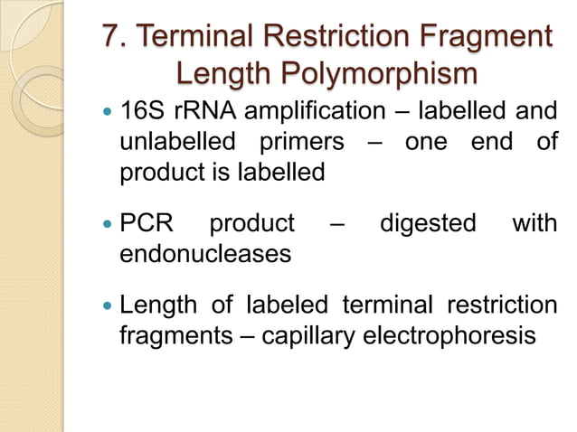 Culture Independent Methods For Detection And Enumeration Of Gut
