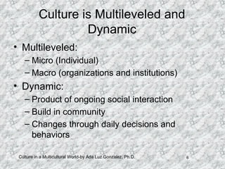 Culture and Leadership | PPT