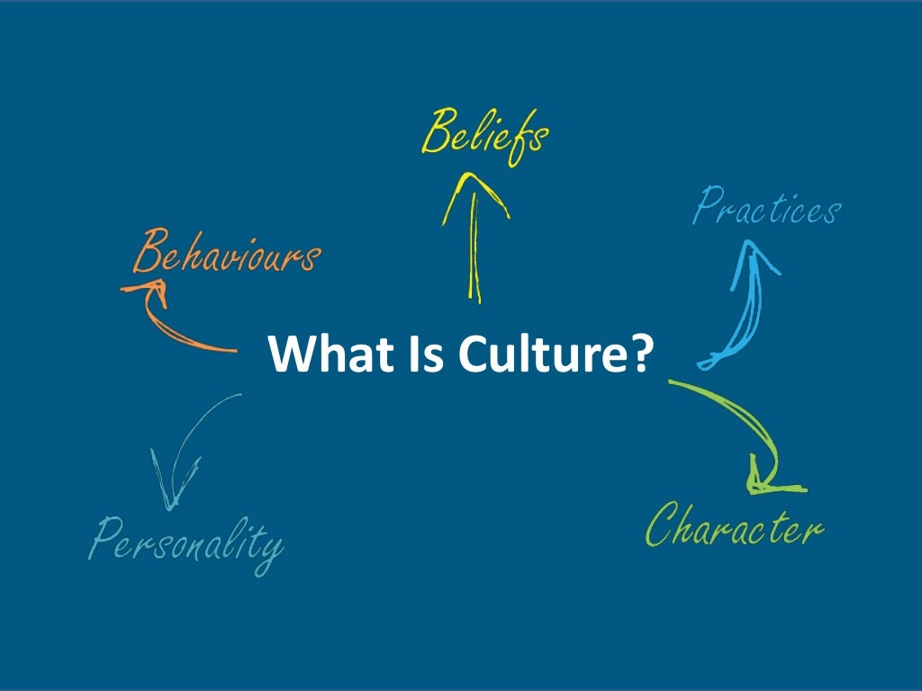 What Is Culture?