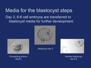 Culture media for IVF: which to choose? | PPTX