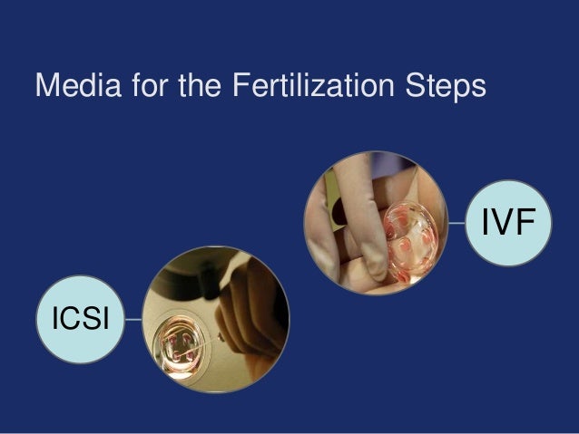 Culture media for IVF: which to choose?