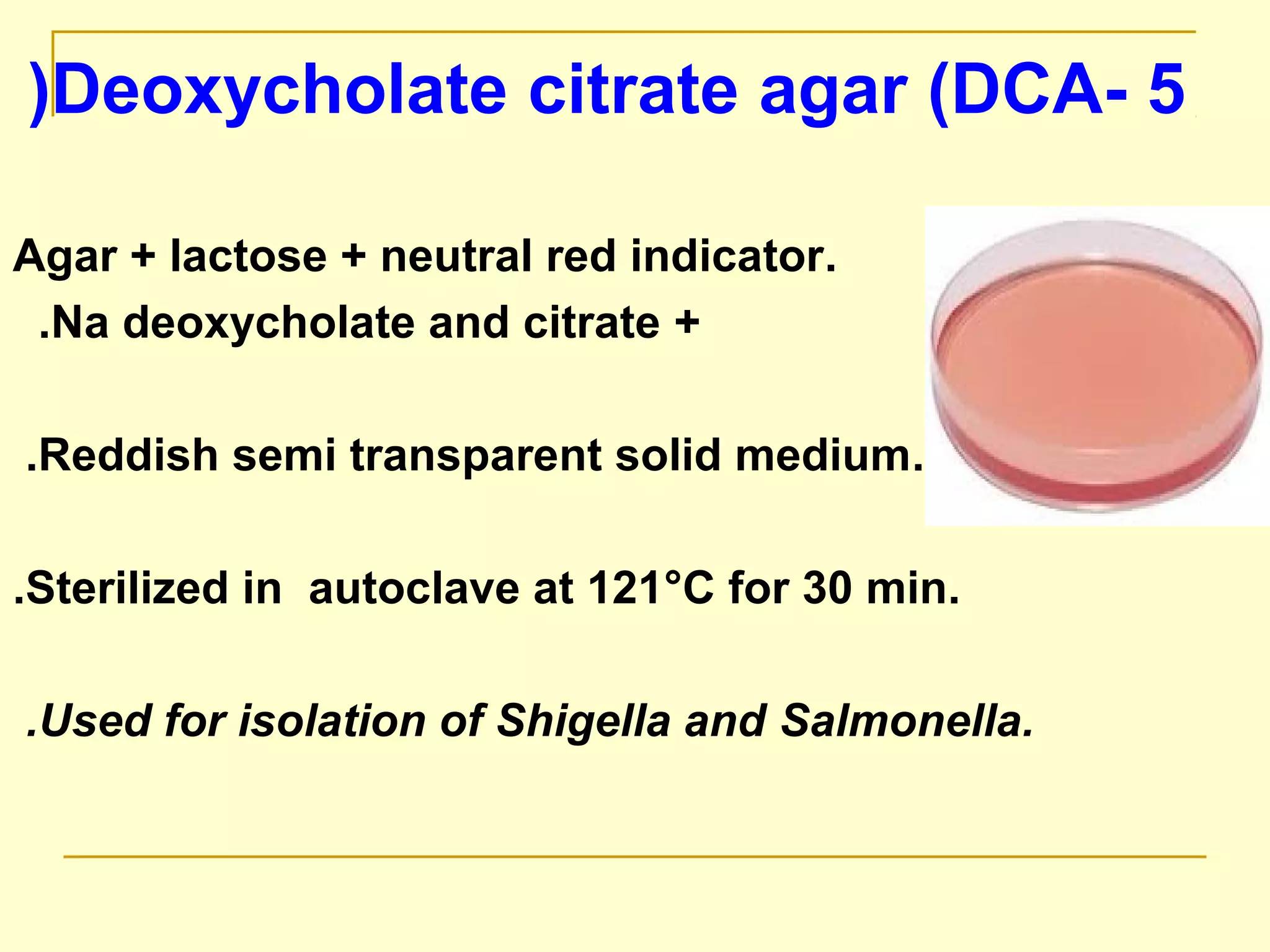 Bacterial Culture media | PPT