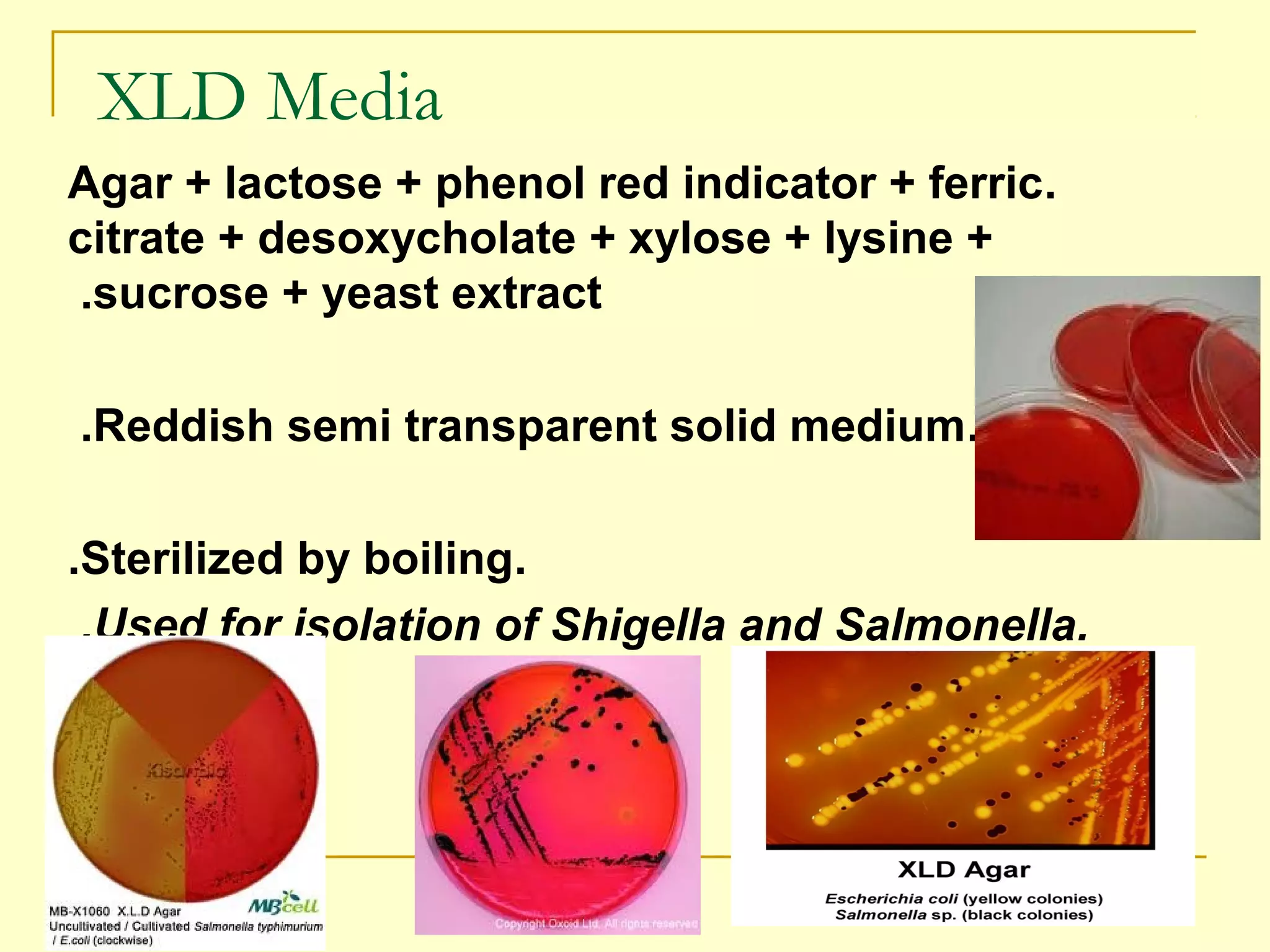 Bacterial Culture media | PPT