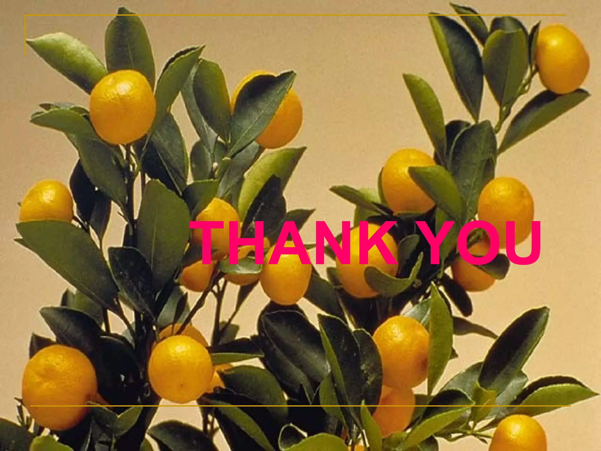 Bacterial Culture media | PPT