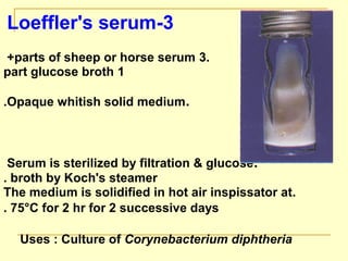 Bacterial Culture media | PPT