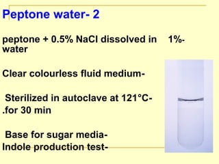 Bacterial Culture media | PPT