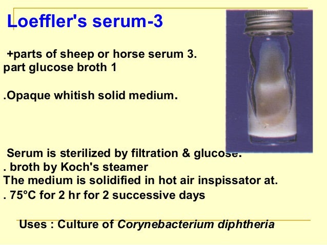 Bacterial Culture media